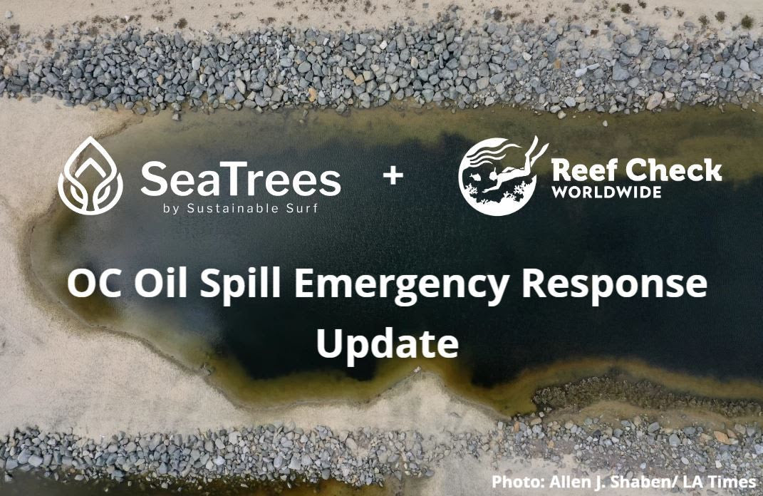 This time (every time) it’s personal... – Seatrees