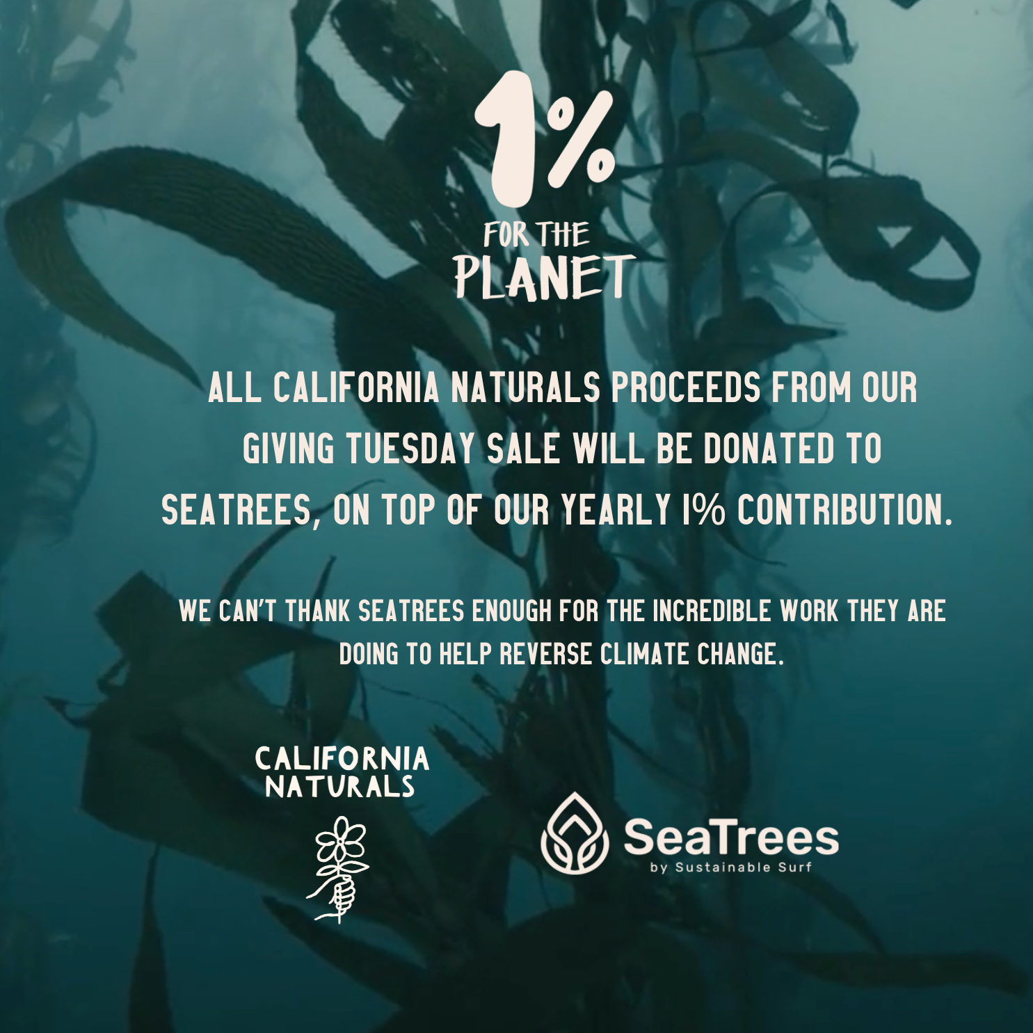 California Naturals Gives Back – Seatrees