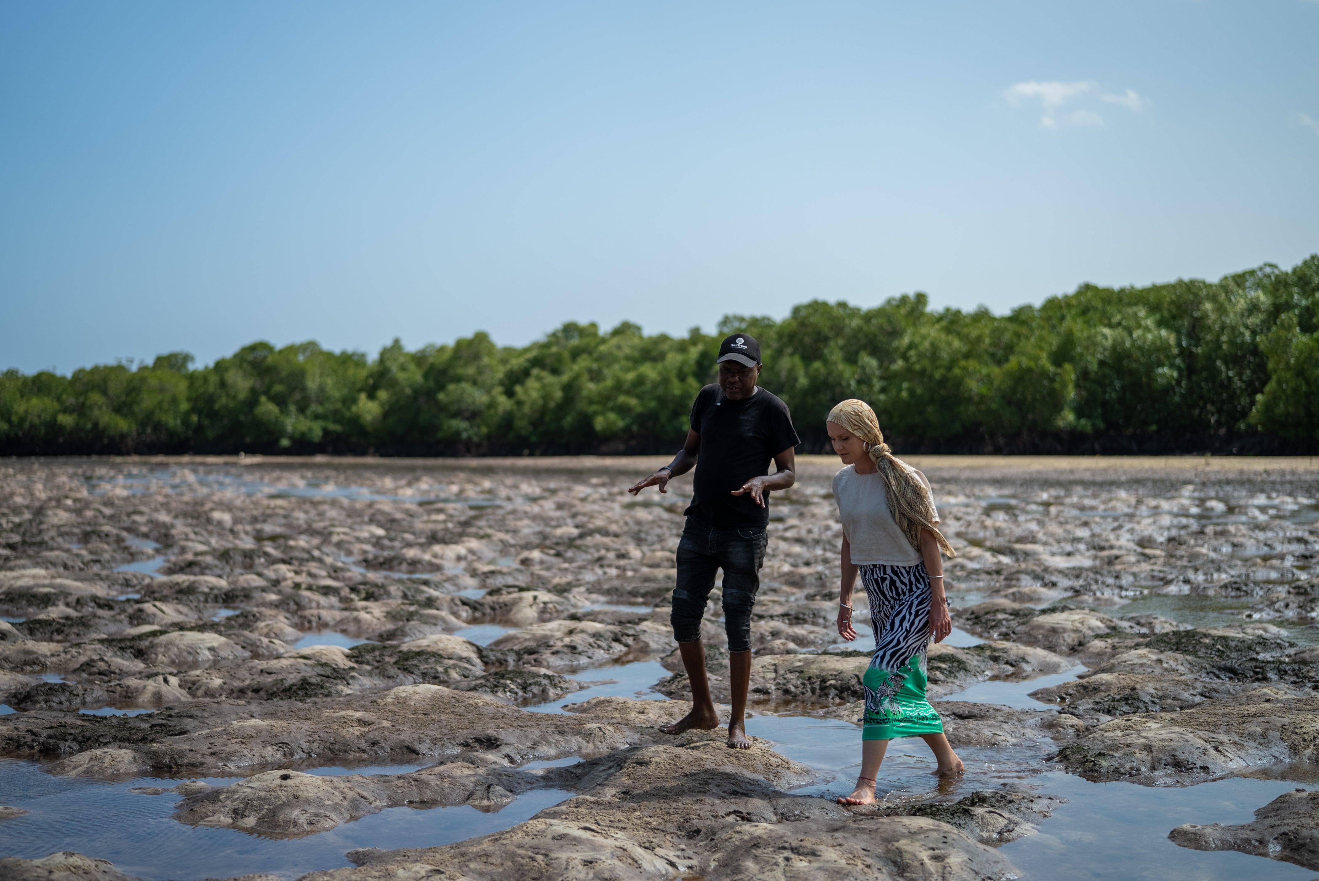 It's Here! Dive into our SeaTrees Episode of Blue Horizons! – Seatrees