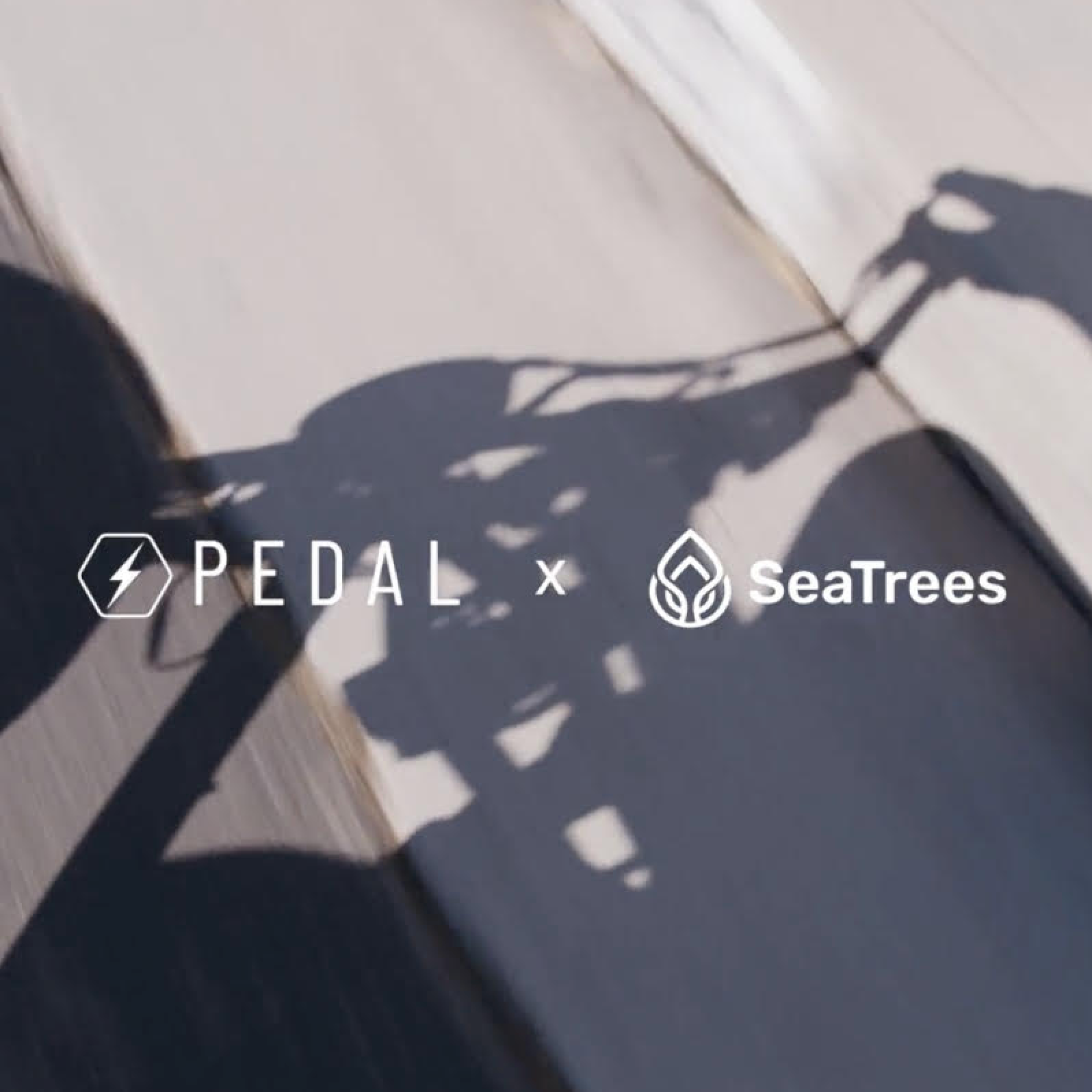 Pedal for the Planet ⚡︎ – Seatrees