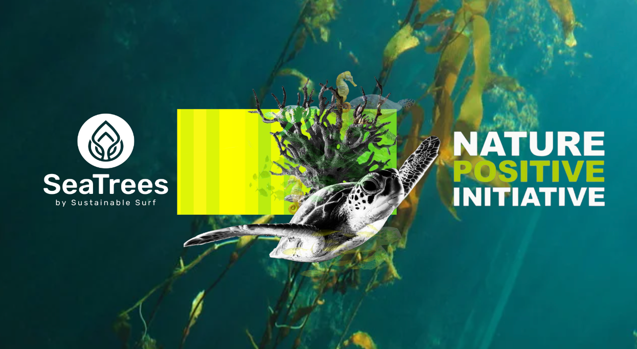 SeaTrees has joined the Nature Positive Initiative – Seatrees
