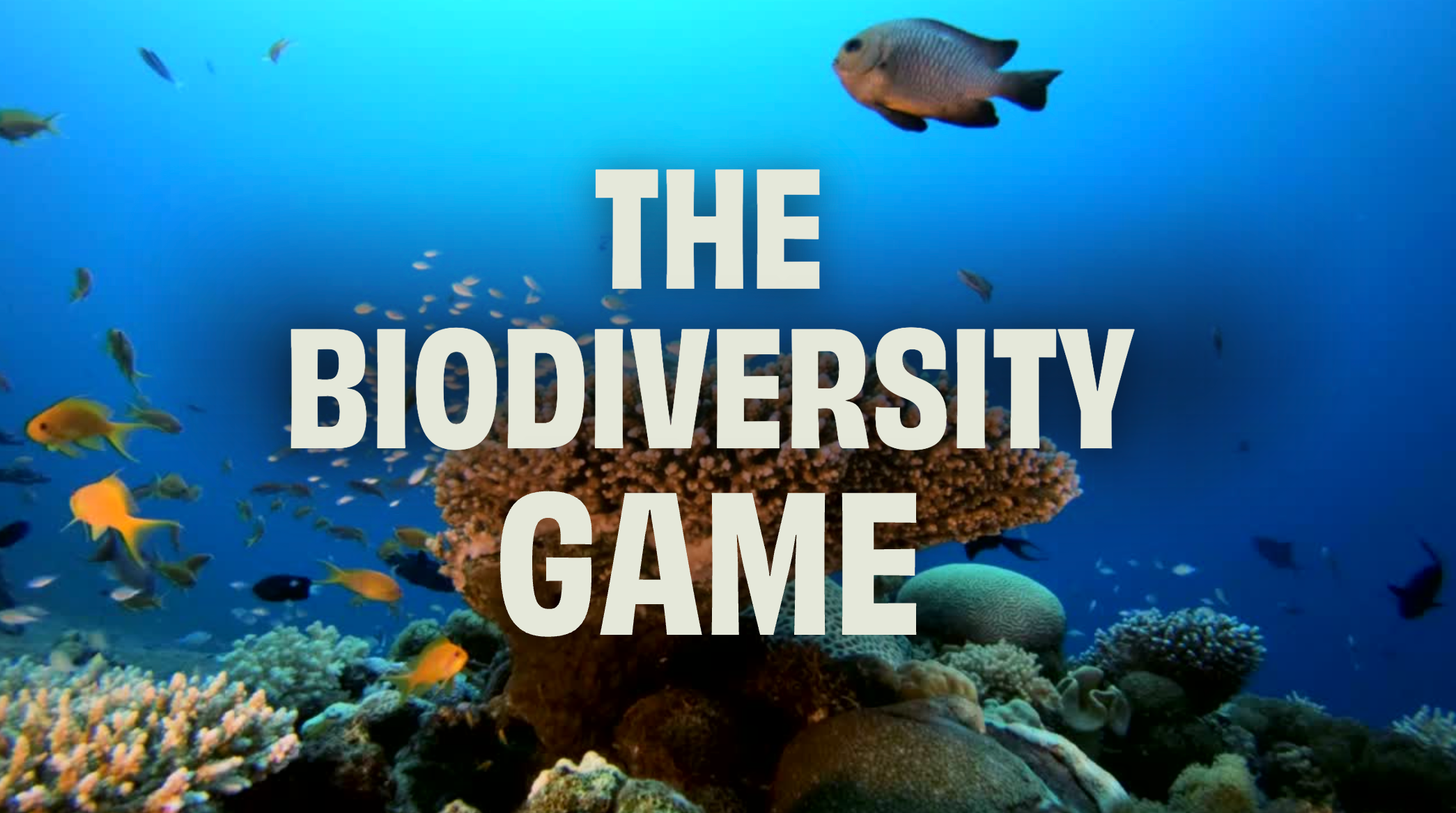 Announcing - The Biodiversty Game! – Seatrees