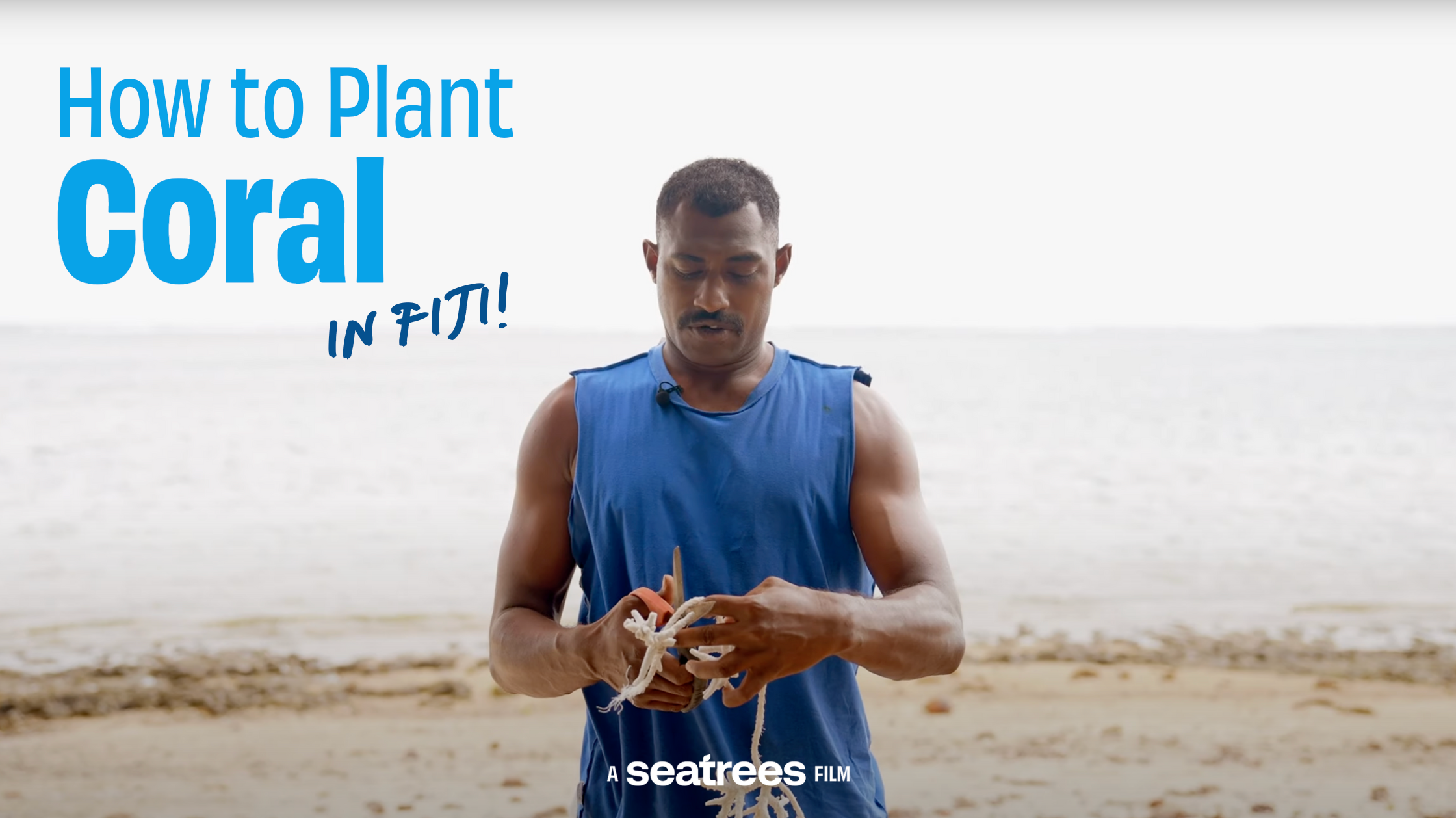 How to Plant a Coral Seatree (in Fiji!) – Seatrees