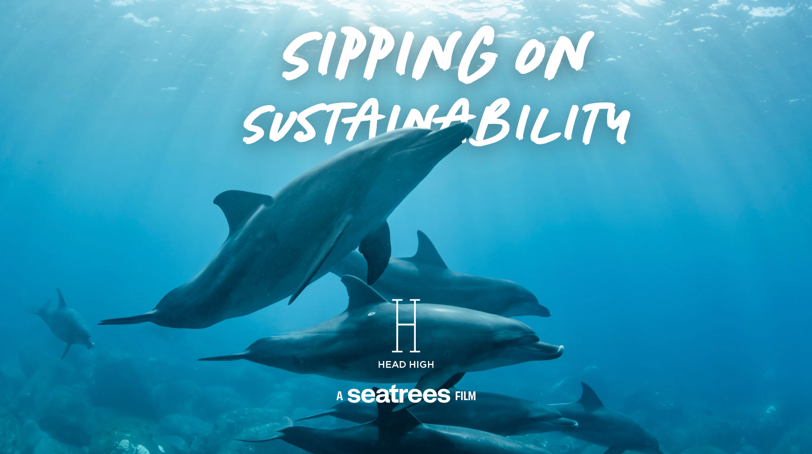 Sipping on Sustainability: Head High Wines x Seatrees