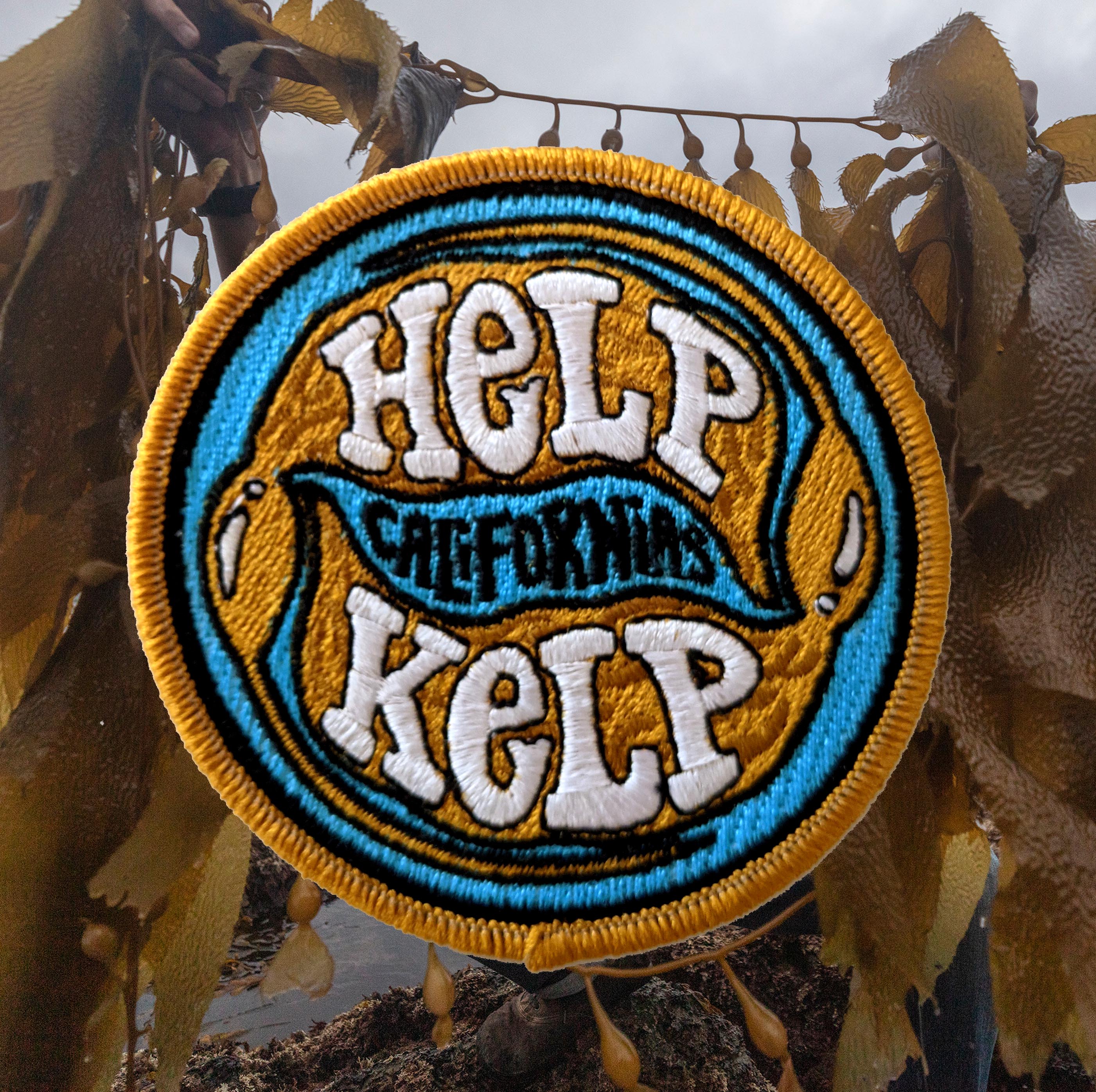 Help California's Kelp Patch – Seatrees