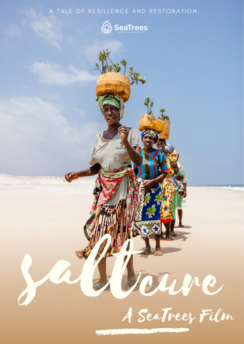 Salt Cure – Seatrees