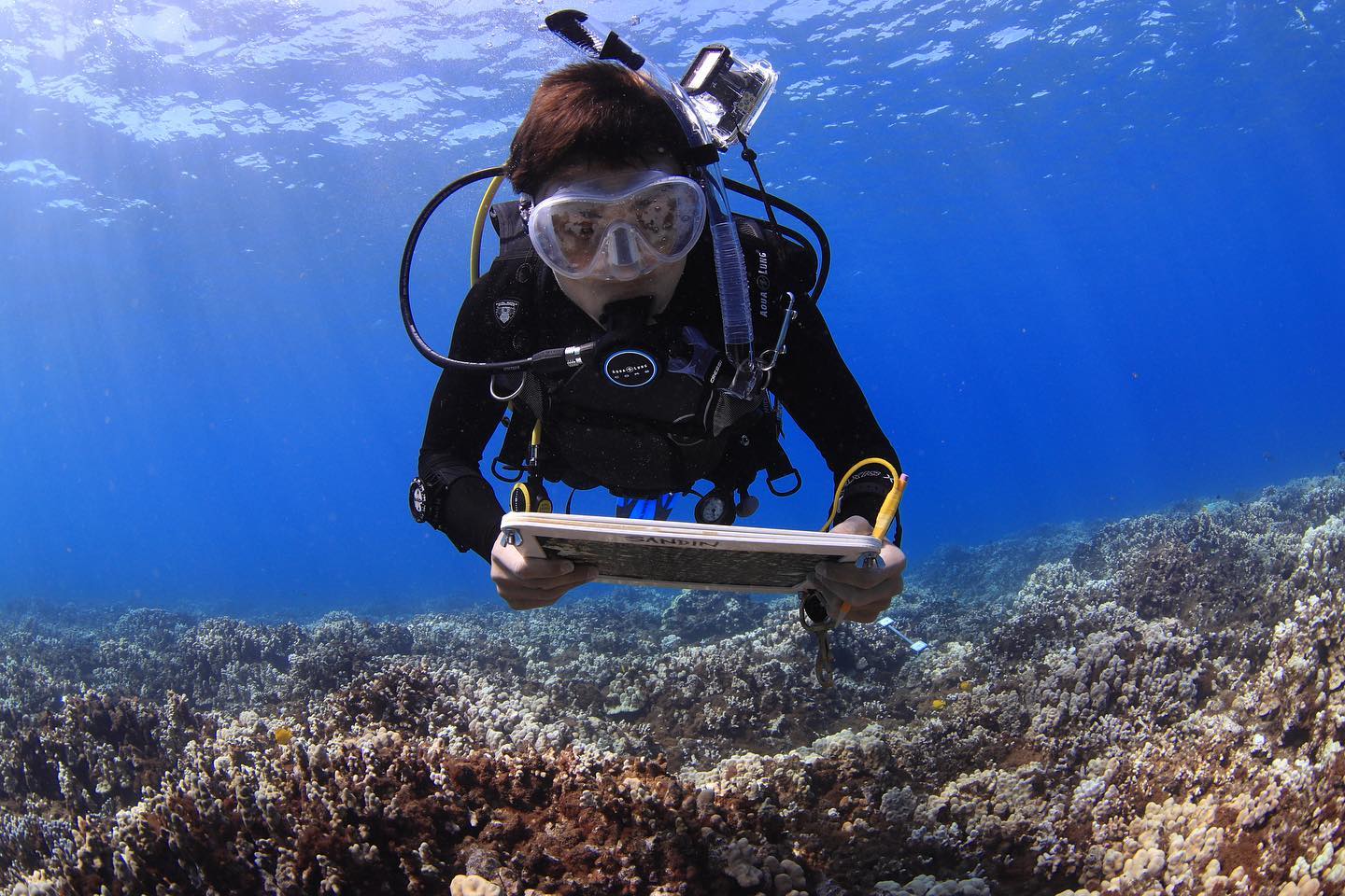 Coral Reef Photogrammetry, Conservation, Samsung, Hawaii, 3D as Storyt ...