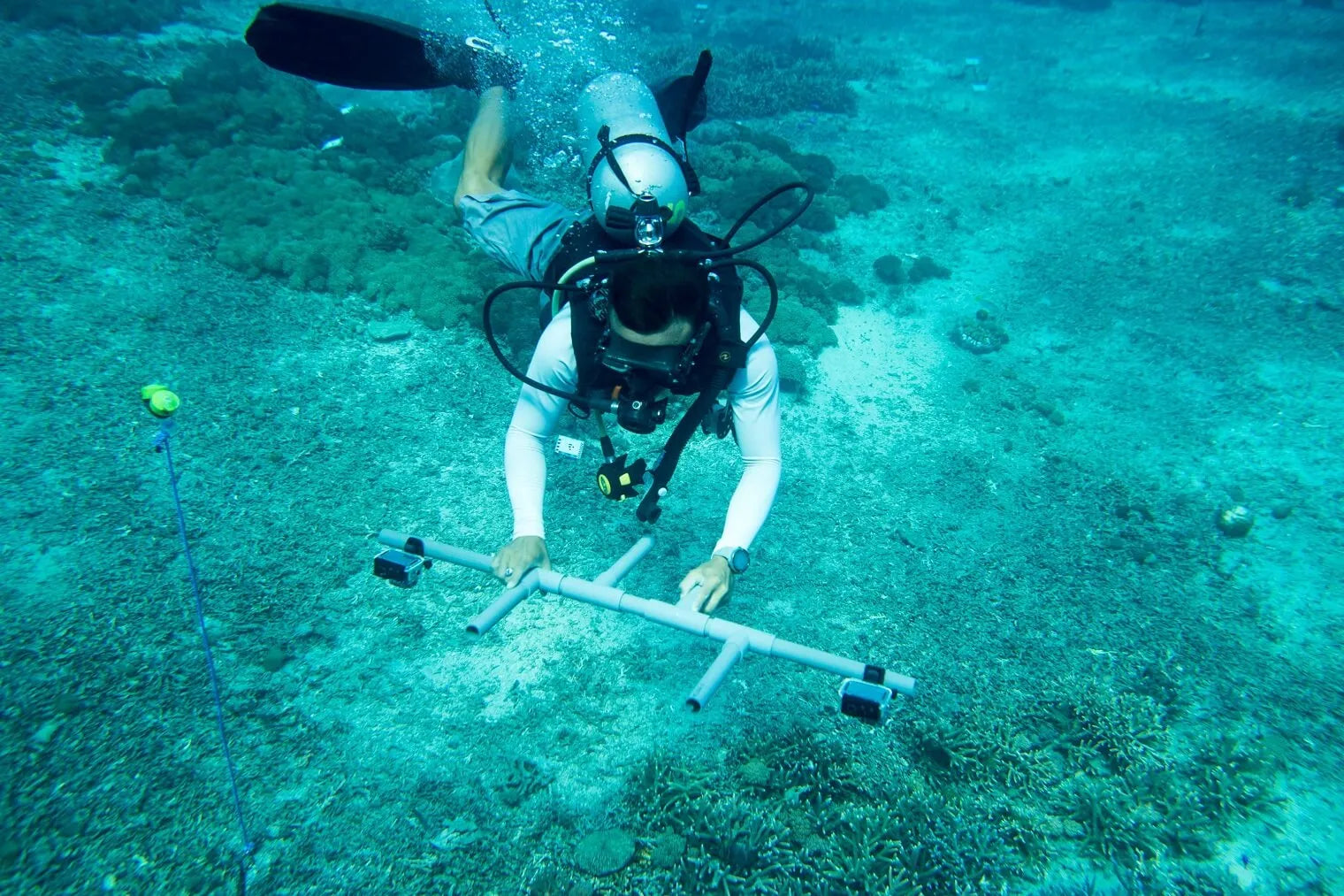 Unlocking the Future of Coral Restoration with Photogrammetry – Seatrees