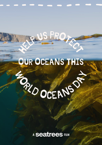 Help us Protect Our Oceans this World Oceans Day – Seatrees