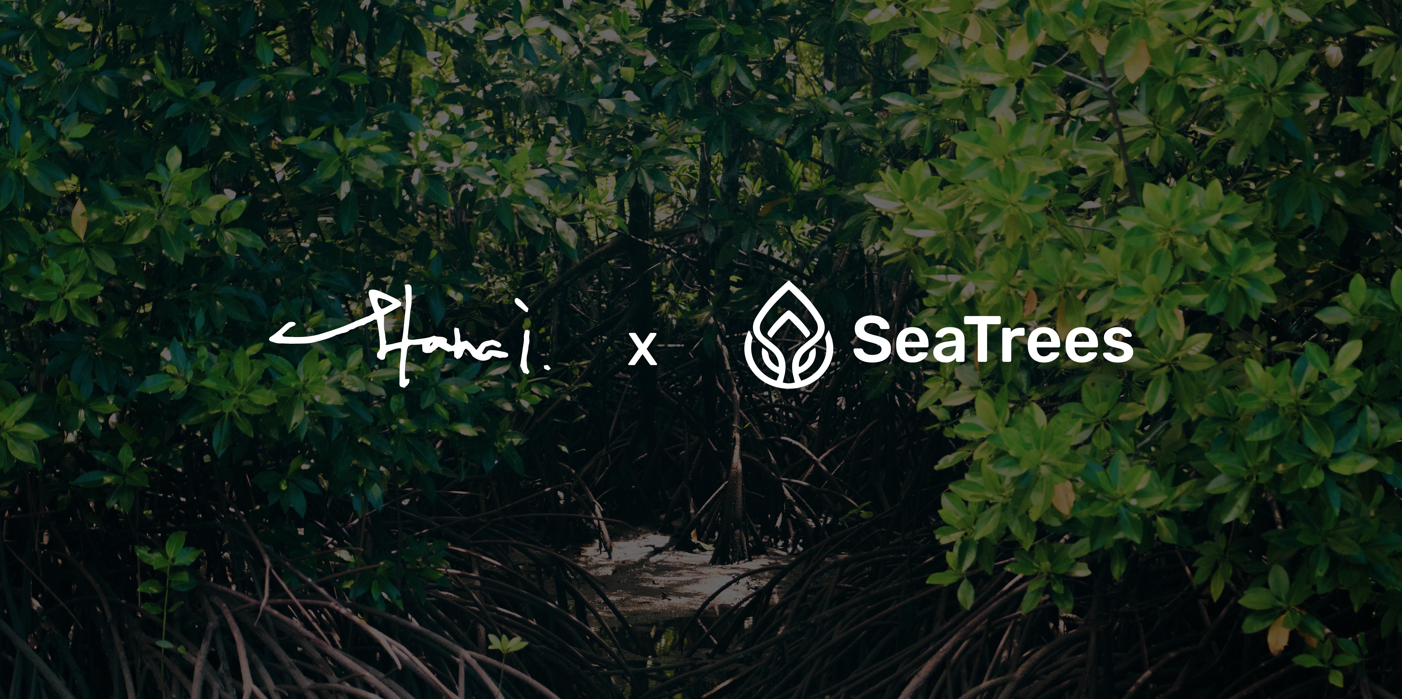 YUSUKE HANAI - SeaTrees Suck CO2 – Seatrees