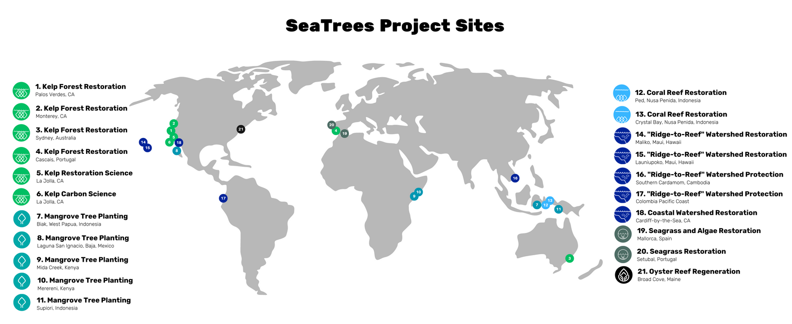 Projects Master – SeaTrees