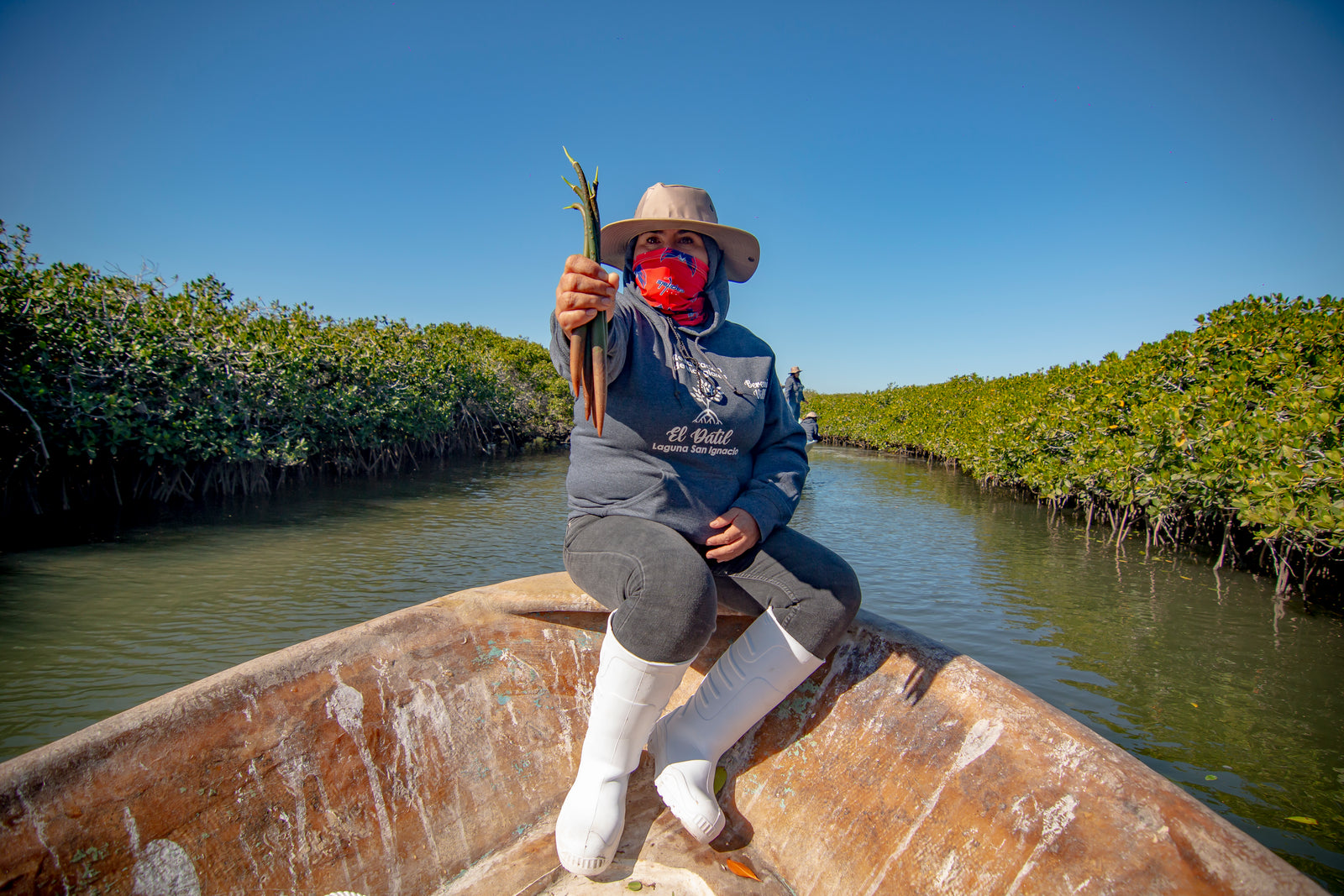 Contact – SeaTrees