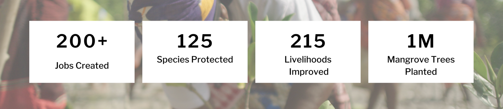 SDG-Mida-Creek – SeaTrees