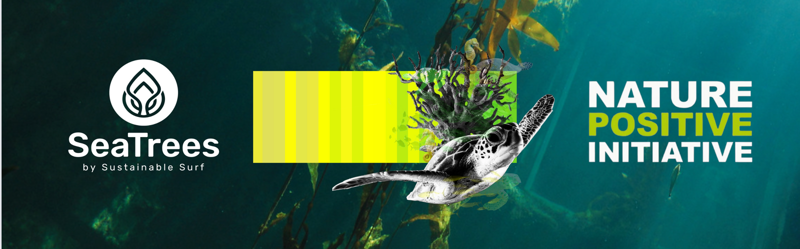 Nature Positive Initiative – SeaTrees