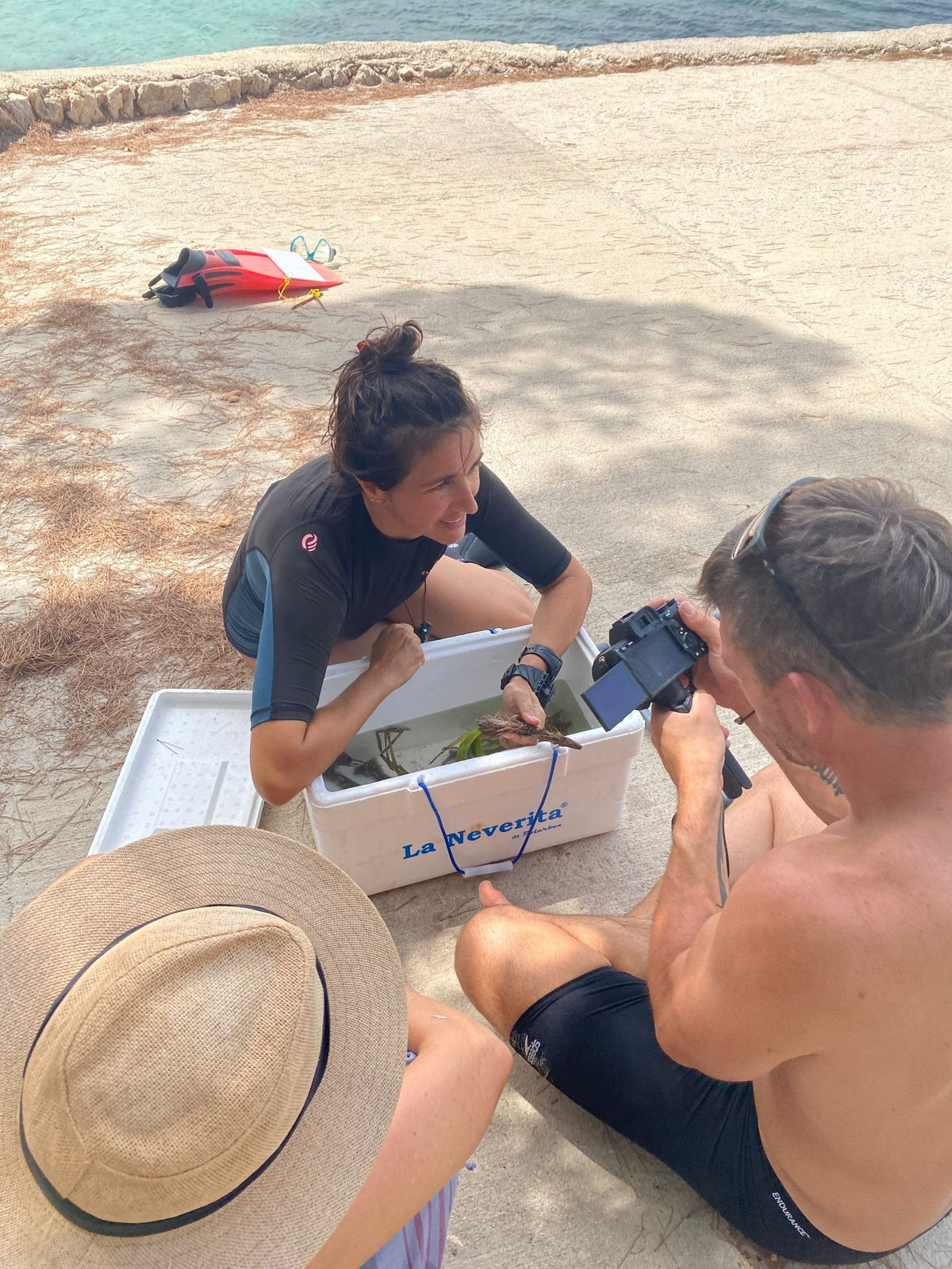 Project: Mallorca, Spain – SeaTrees